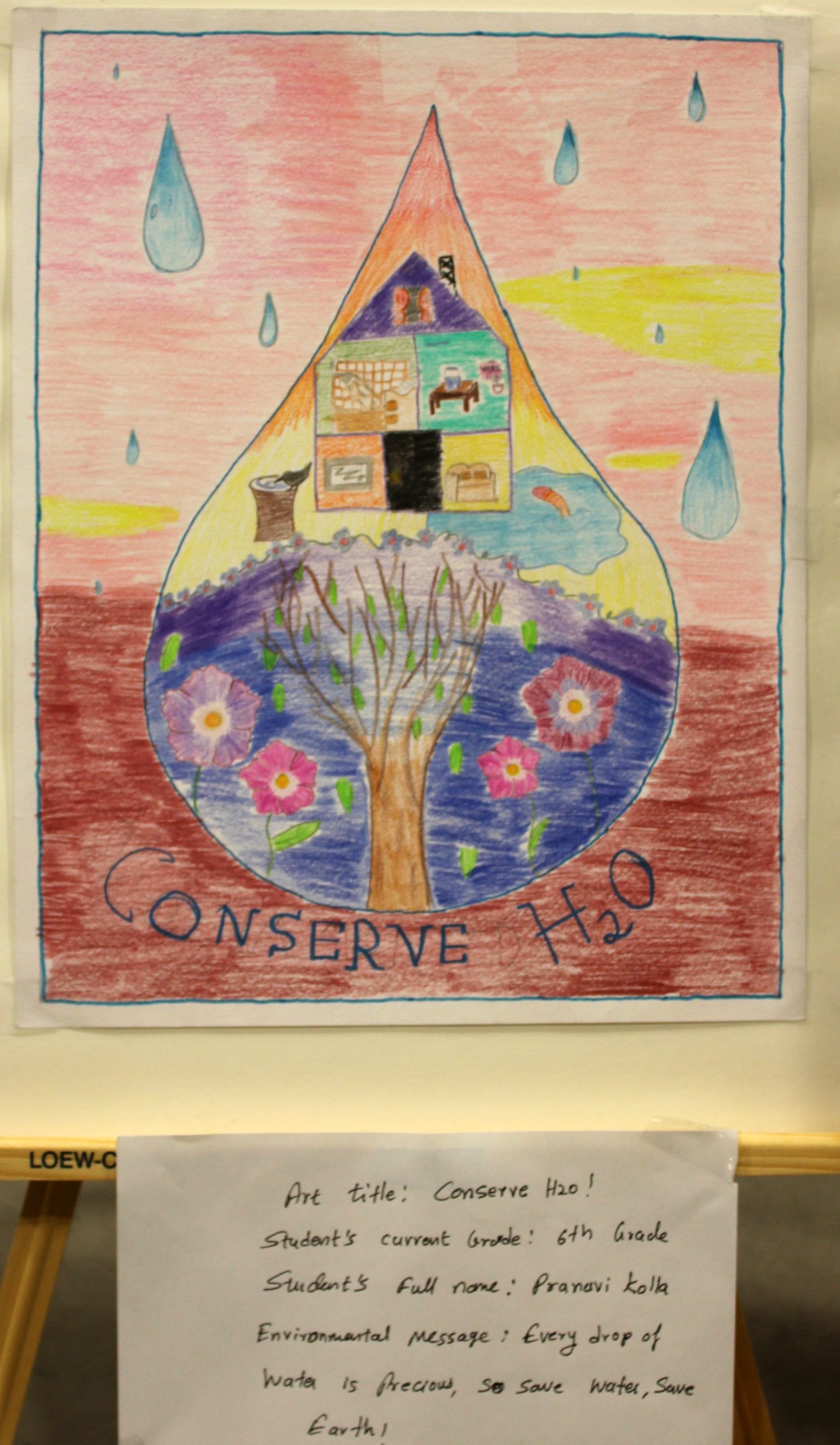 Environmental Arts - GREEN KIDS NOW